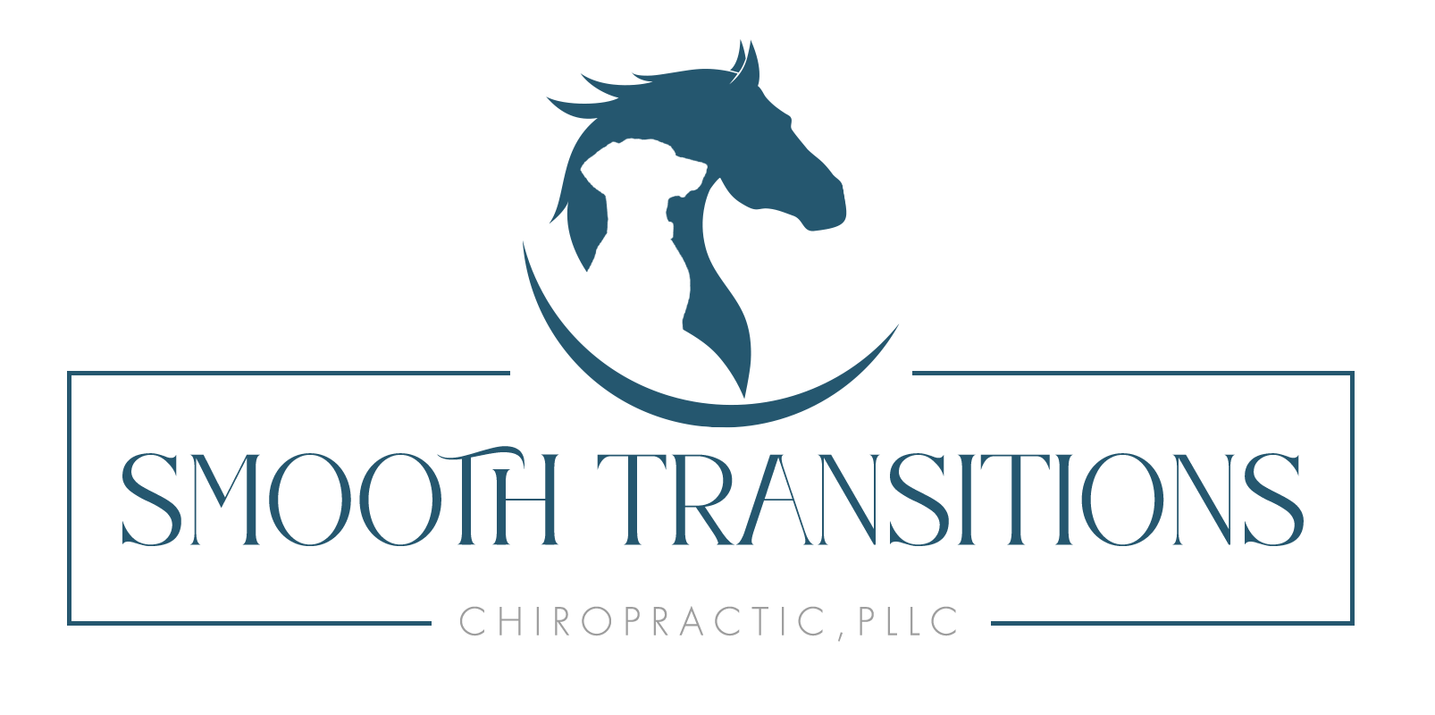 Home - Smooth Transitions Chiropractic PLLC